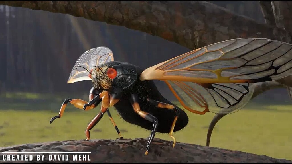 Blendermania Contest #70 "Favorite Insect" - Blendermania3D Contests ...